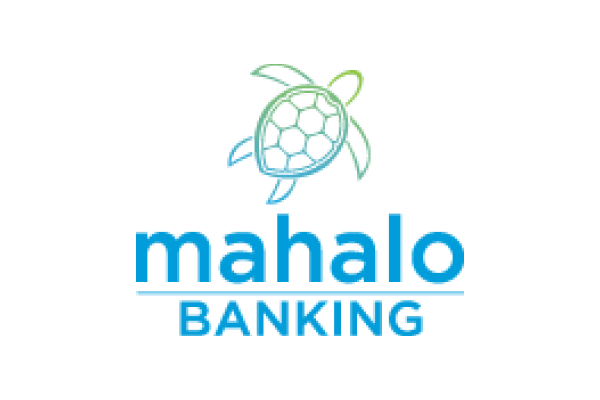 Fintech Software Development | Vertifi